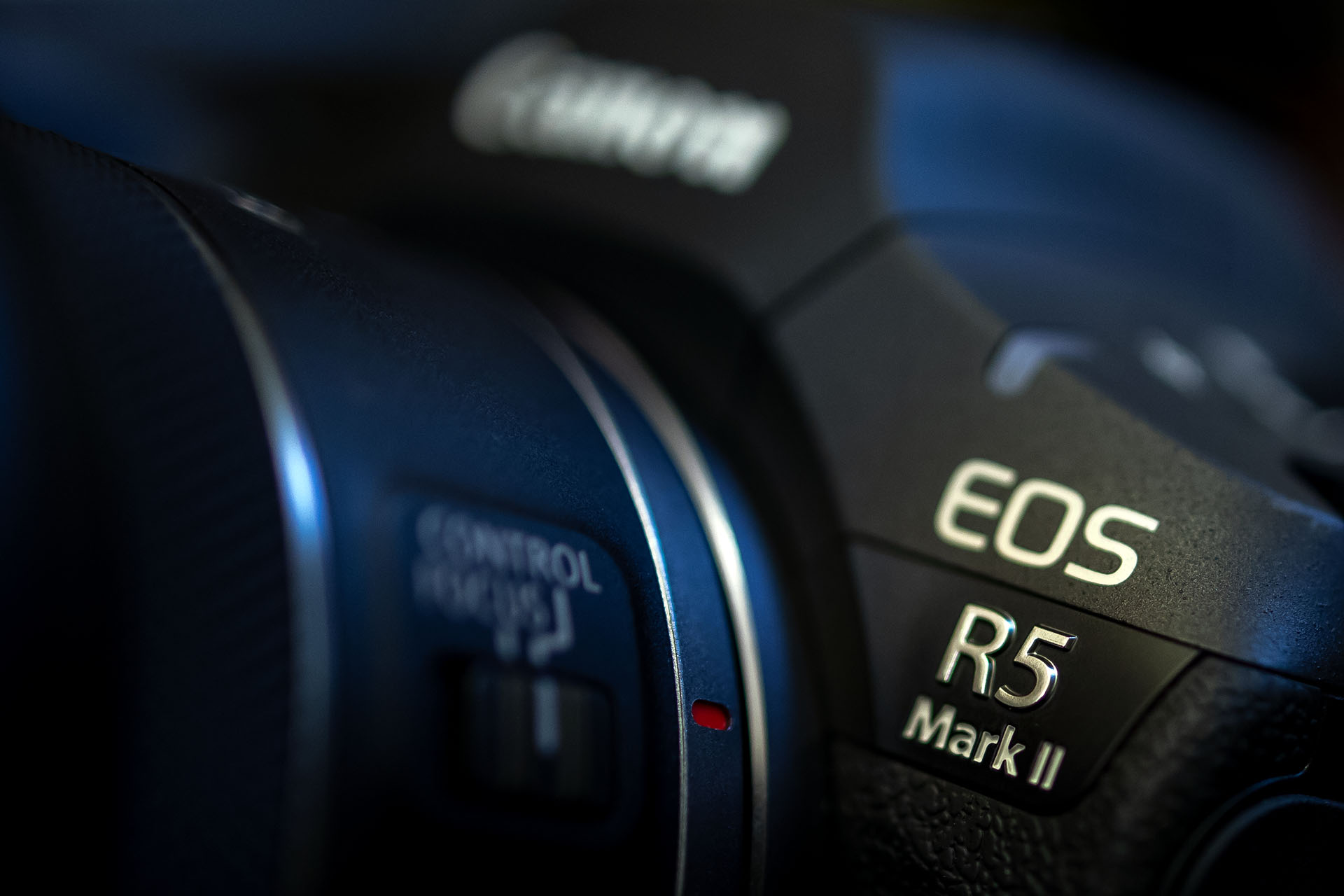 Canon EOS R5 MkII – one month in | Neil Turner Photographer